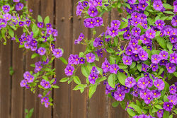 Xiaomi Redmi Note 8 Pro (128GB) Mineral Grey - Skroutz.gr