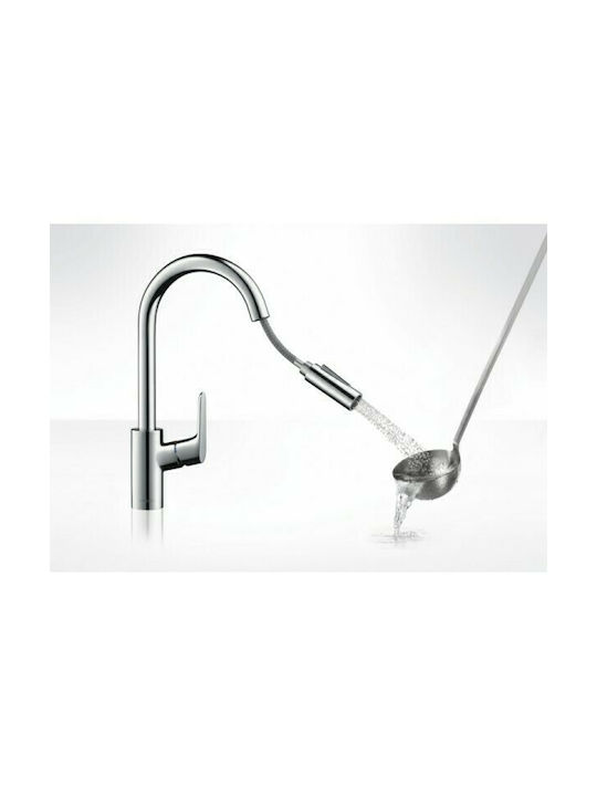 Hansgrohe Focus 240 31815670 Ψηλή Μπαταρία Κουζίνας Πάγκου με Ντουζ ...