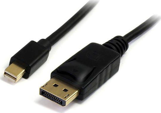 StarTech DisplayPort Cable mini DisplayPort male - DisplayPort male 1 ...