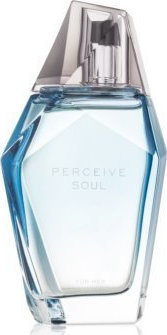 Avon Perceive Soul Eau de Toilette 100ml - Skroutz.gr