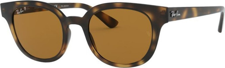 Ray Ban RB4324 710/83 - Skroutz.gr