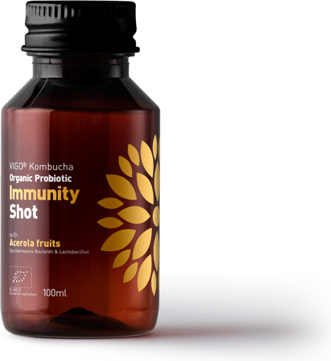 Vigo Kombucha Immunity Shot 100ml | Skroutz.gr