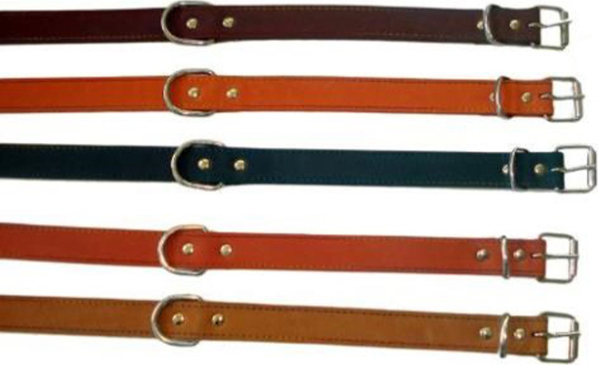 Κολάρο Σκύλου Δερμάτινο σε Πράσινο χρώμα 15mm x 40cm | Skroutz.gr