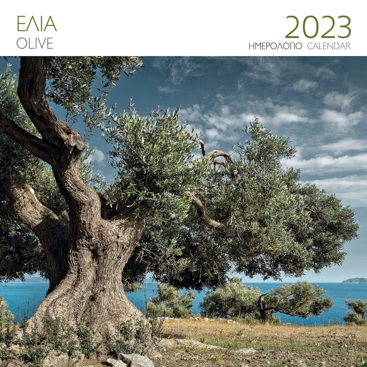 Μίλητος Μηνιαίο Επιτοίχιο 2023 Ελιά 30x30cm Ρ0000924 | Skroutz.gr