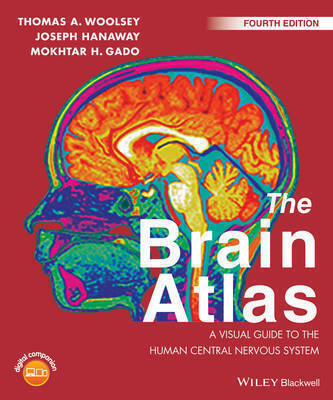 The Brain Atlas - Συλλογικό Έργο | Skroutz.gr