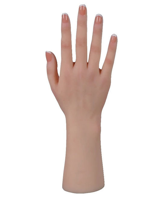 Silicone Hands Model Bendable Skeleton Multiple Color Options Right ...