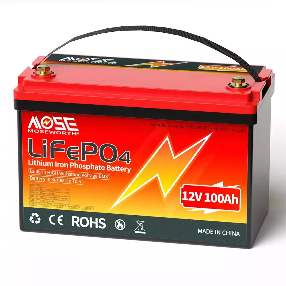 Lifepo4 Battery 12v 100ah Capacity Long Life ≥6000 Deep Cycles 12v ...