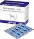 Biowet Bioimmunex Canis 40 Capsules Συμπλήρωμα Διατροφής Σκύλου 1000gr ...