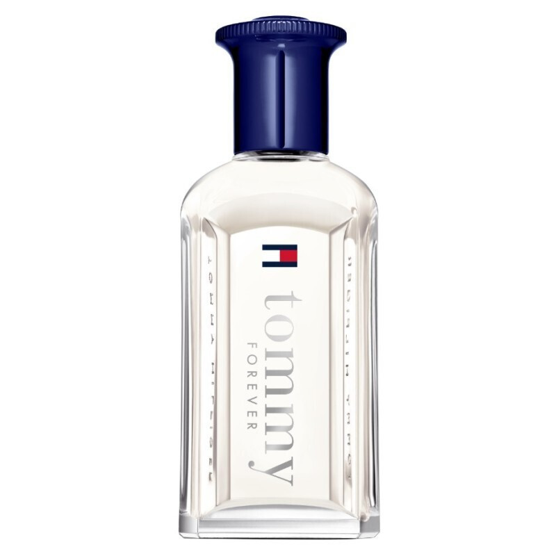 Tommy Hilfiger Tommy Forever Eau De Toilette Men Edt 100 Ml | Skroutz.gr